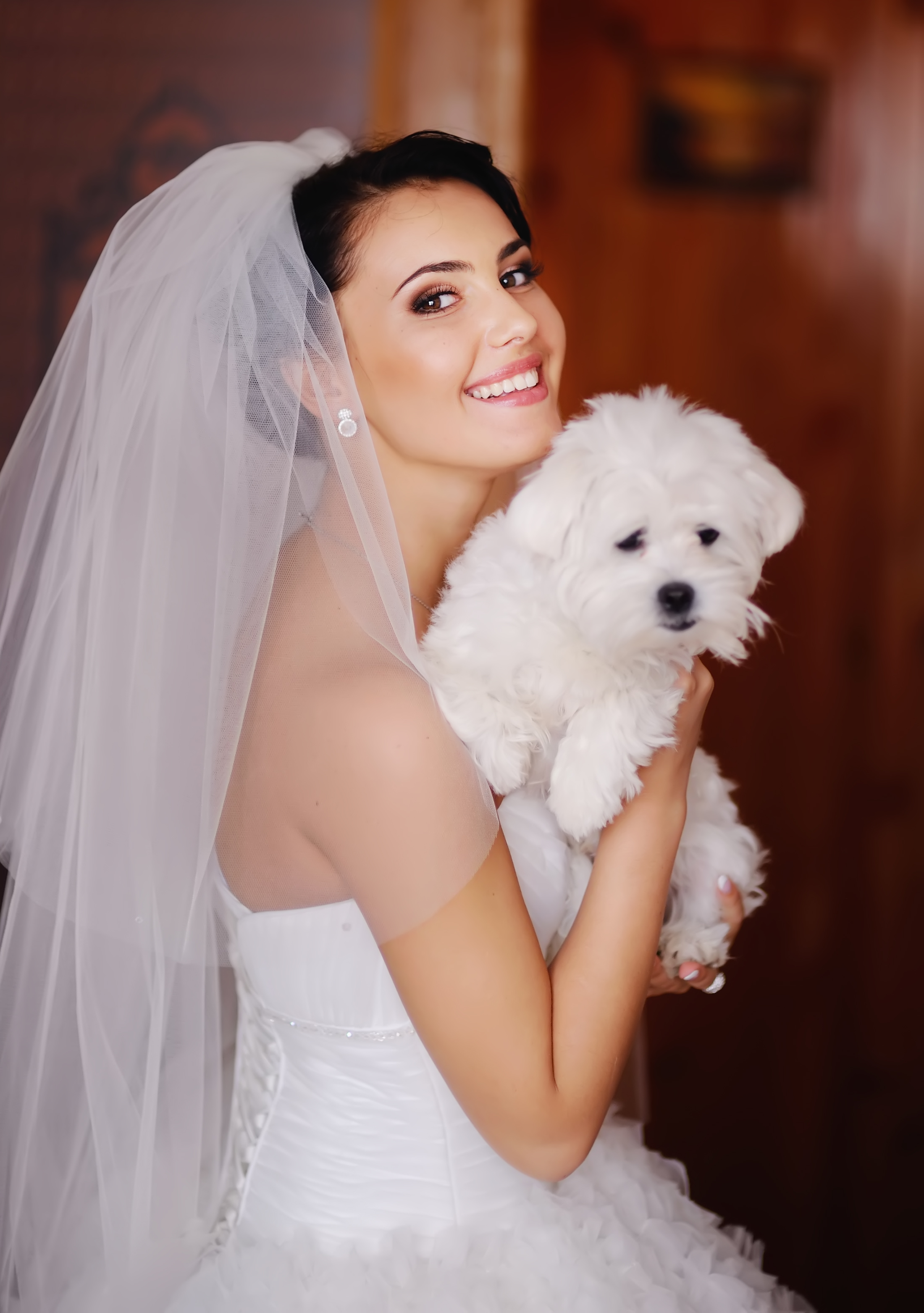 Wedding Pet Consultation – Tails & Veils